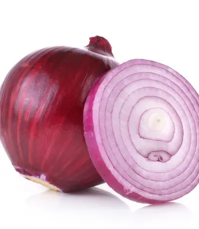 Onion Price Today (2 Jun) in India — ₹1,828/Quintal | ACROP AI